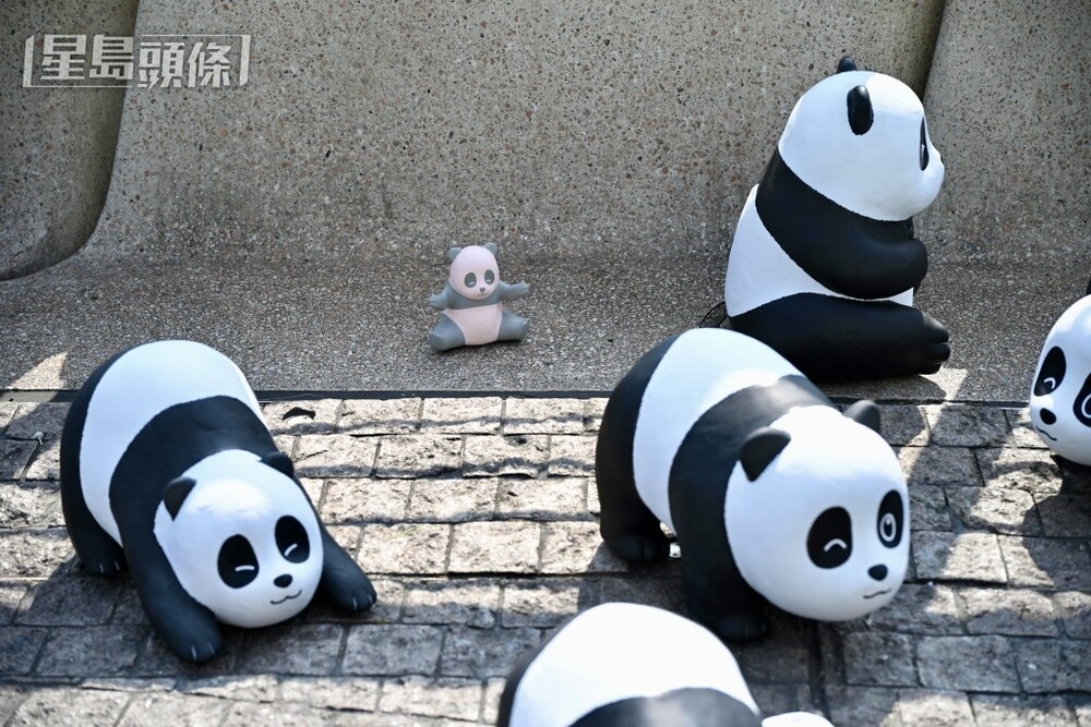 1,000 panda sculptures up for 'adoption' through donation