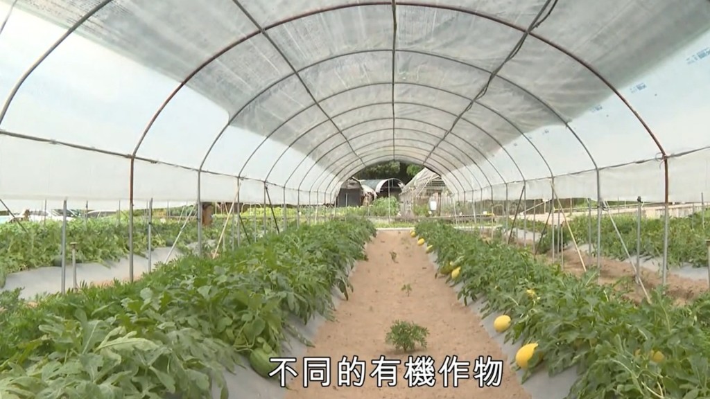 AFCD eyes local branding in HK's agricultural revival