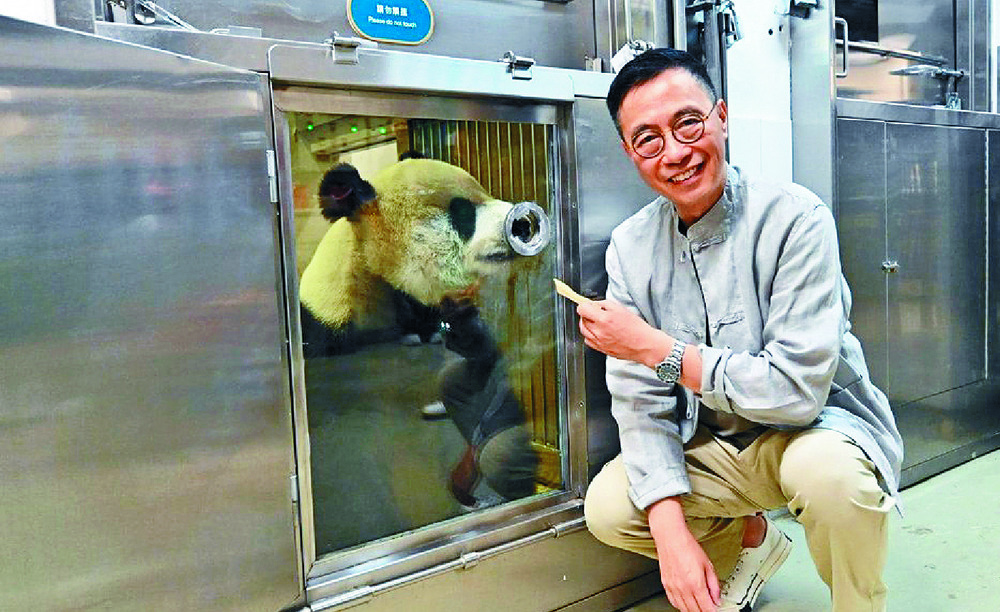 Yeung on Sichuan panda mission