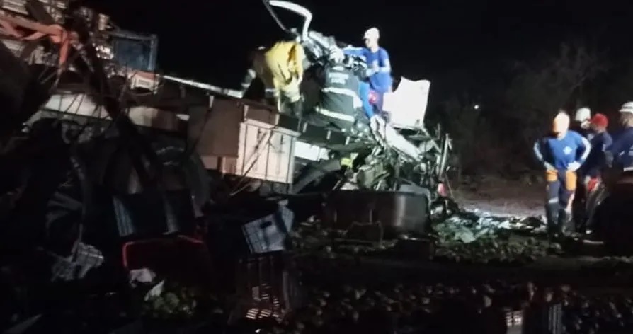 25 killed in bus, truck crash in Brazil: firefighters