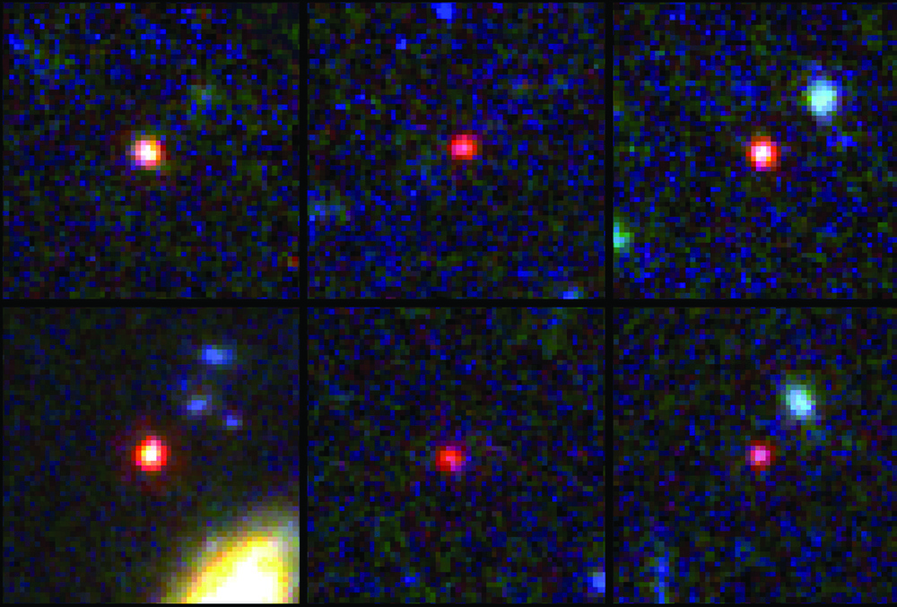 Massive galaxies spring a surprise