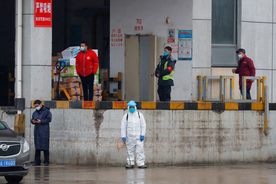 In China's Wuhan, cholera-causing bacteria in turtles strikes nerve