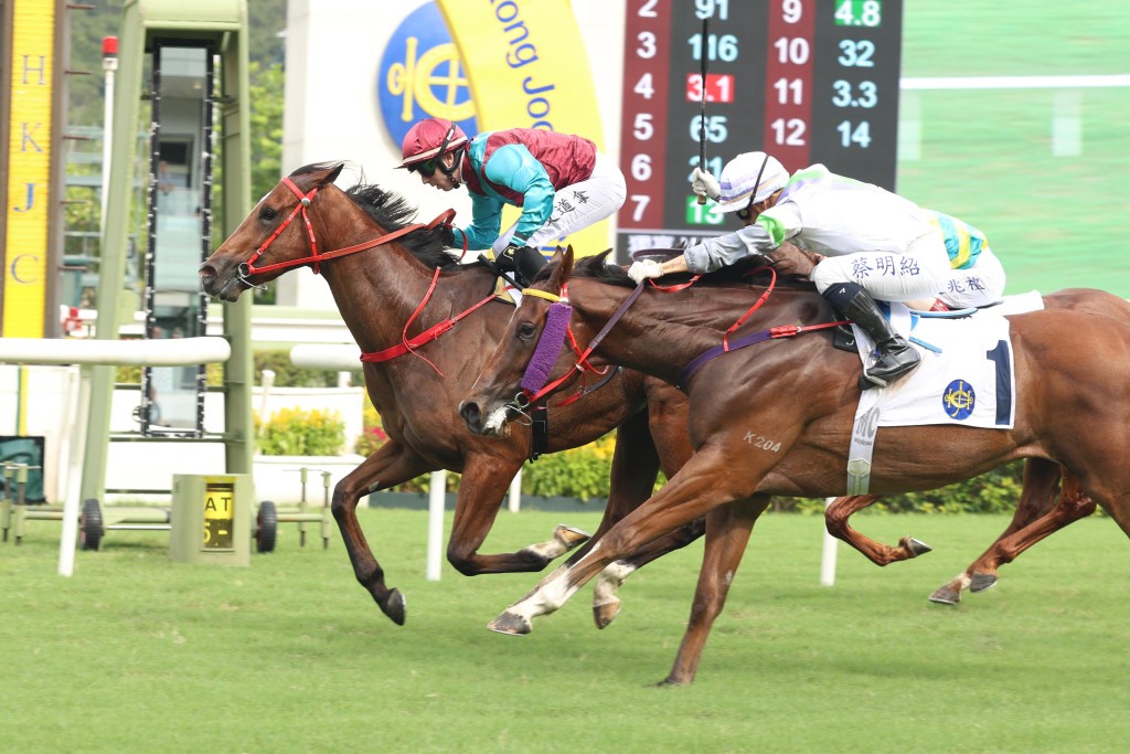 Raceday Review: A Size rarity, ‘Ice Man’ Ellis strikes again and Benno ...