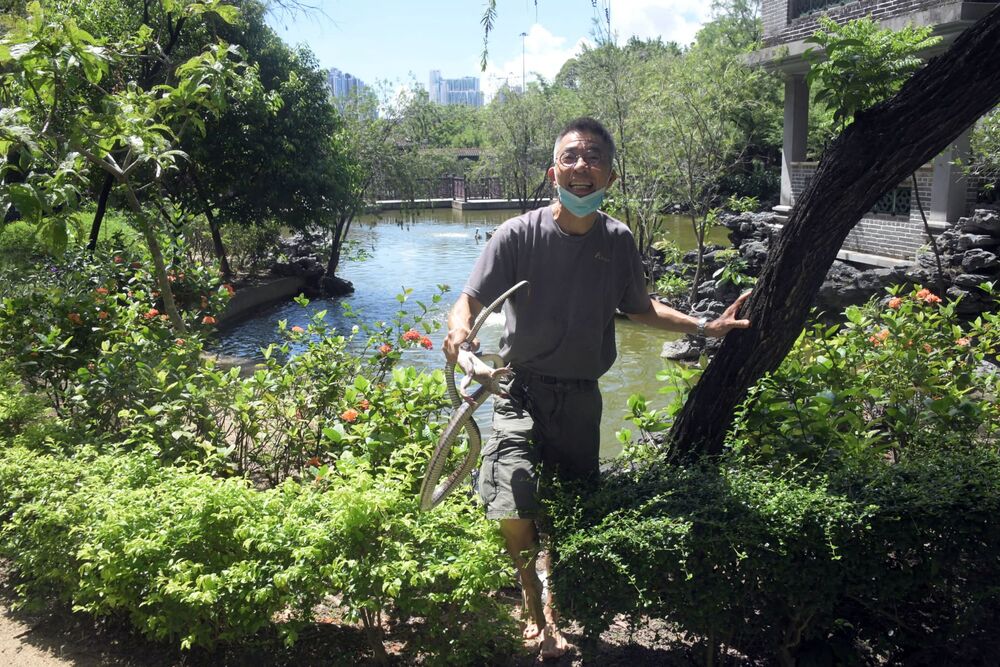 Toad saved from snake’s maw as Lai Chi Kok Samaritan stages eleventh ...