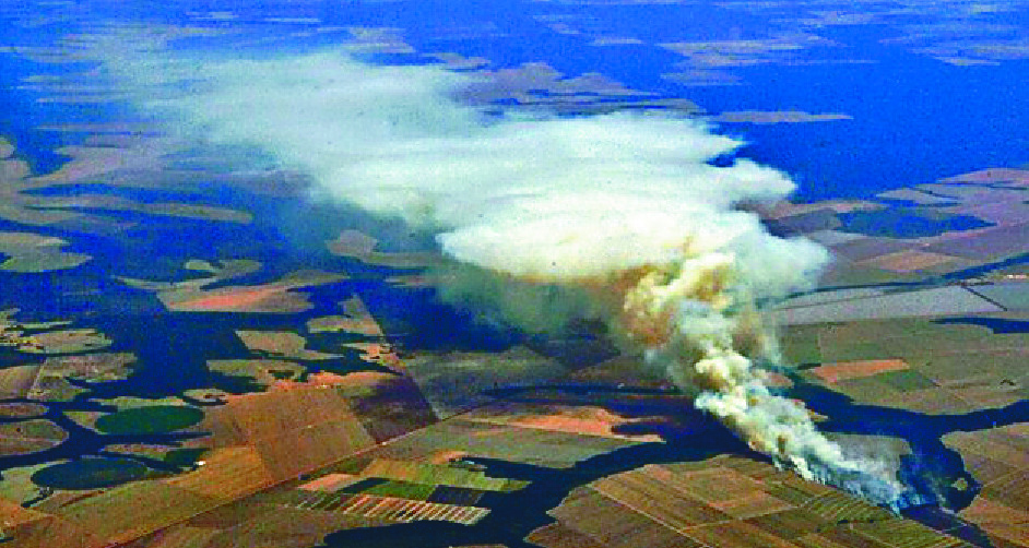 Economic growth chewing Earth to oblivion