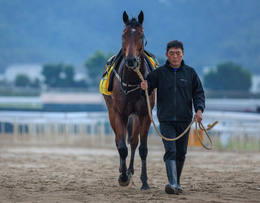 Ka Ying Rising is back: bigger and stronger than ever