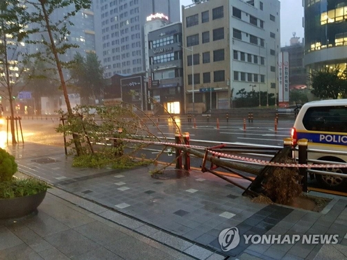 Typhoon Haishen blows into southern region of Korea