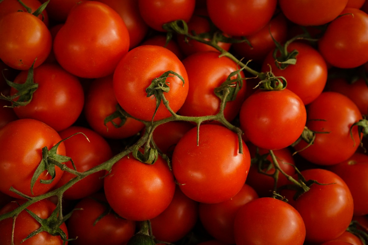 7 benefits of eating tomatoes - Prevent cancer and diabetes