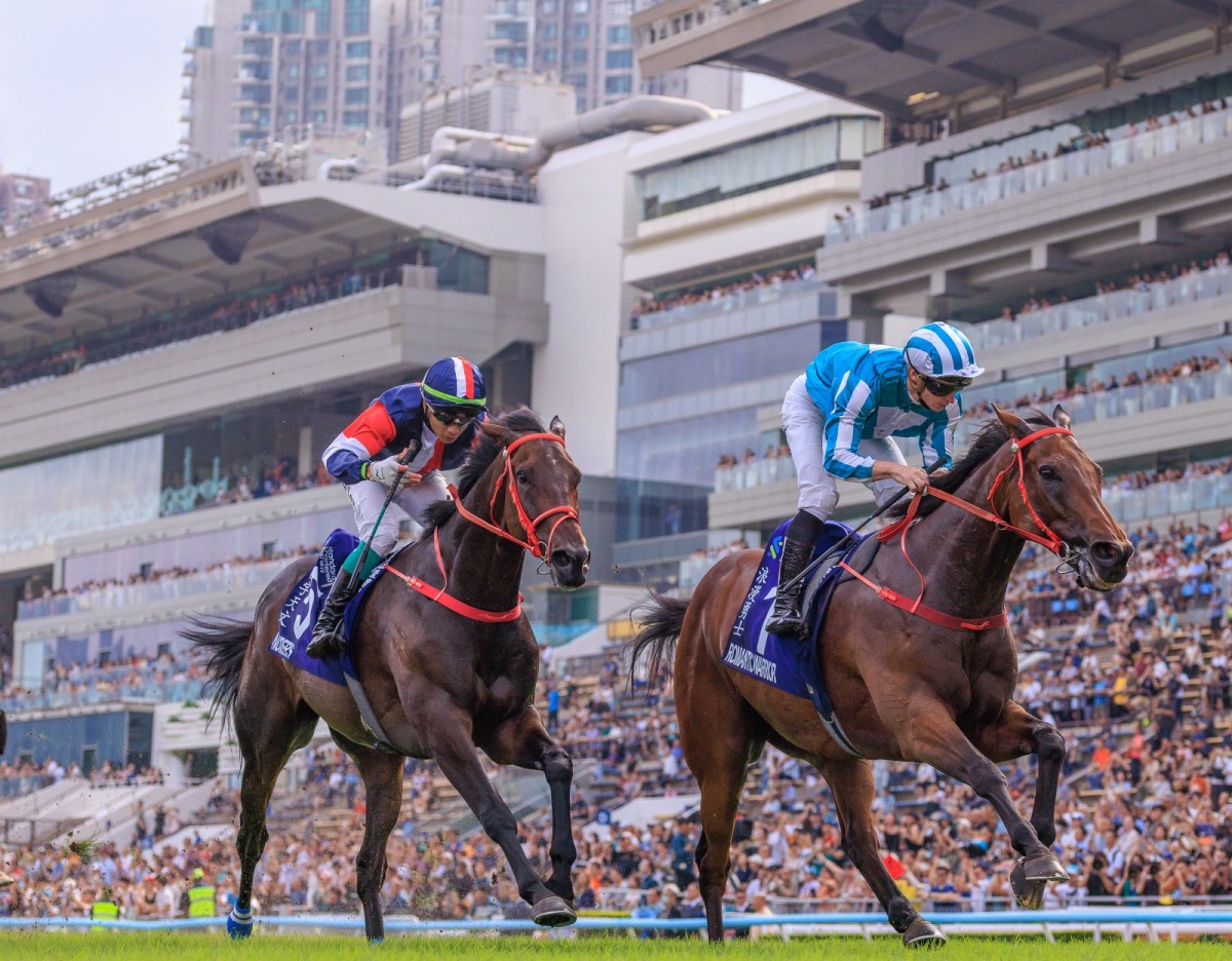 Triple Crown shows Romantic Warrior's grit as Shum counts his blessings