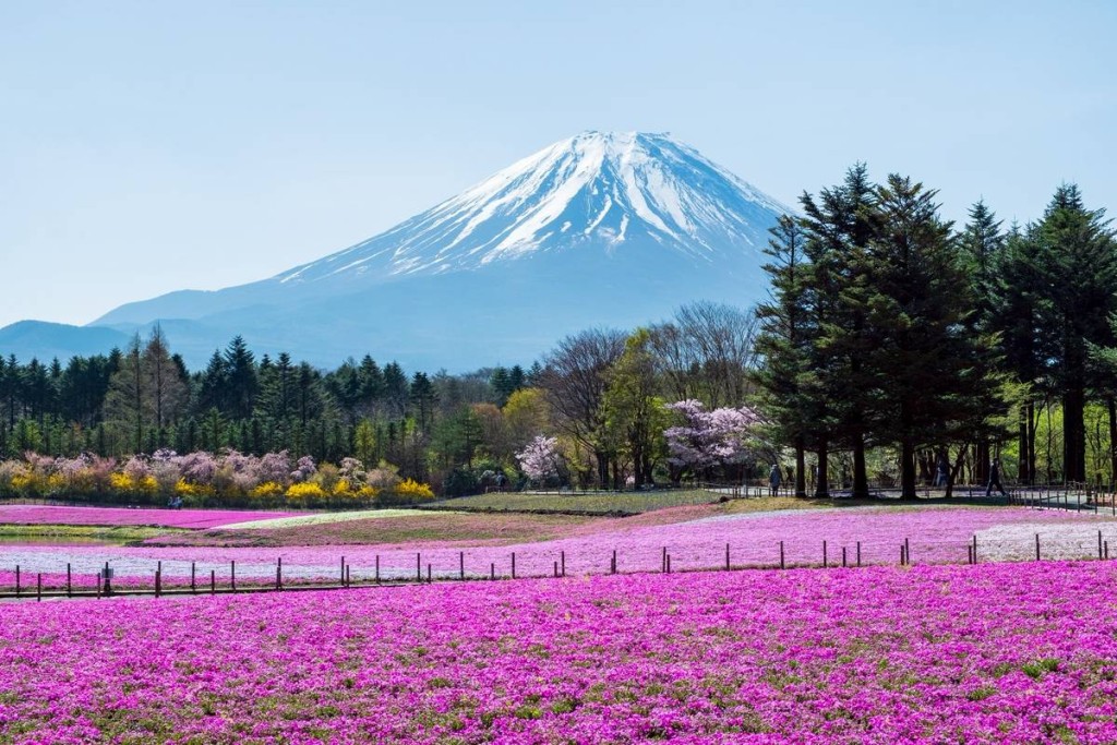 Japan approves JESTA e-travel authorization, visa-free pre-screening ...