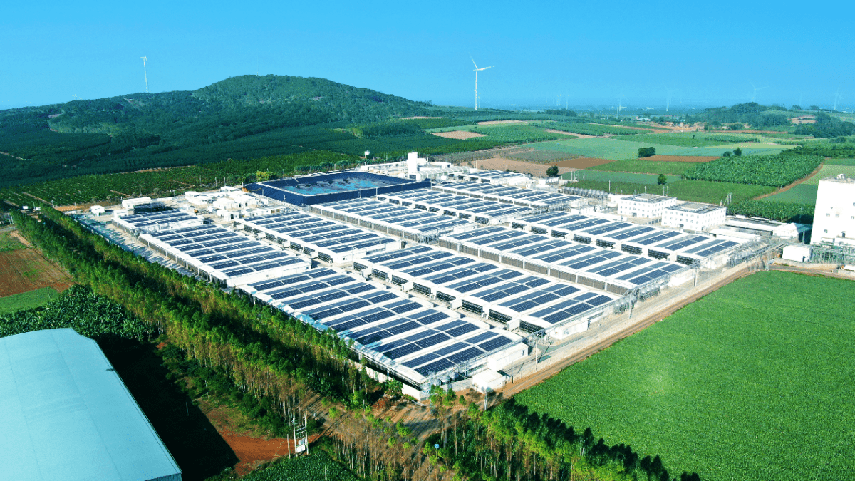Muyuan Foods Makes Hong Kong Debut Today: Strong Cornerstone Investor ...