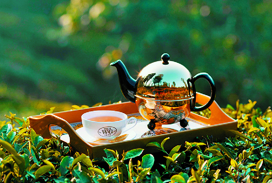 Flushed with success