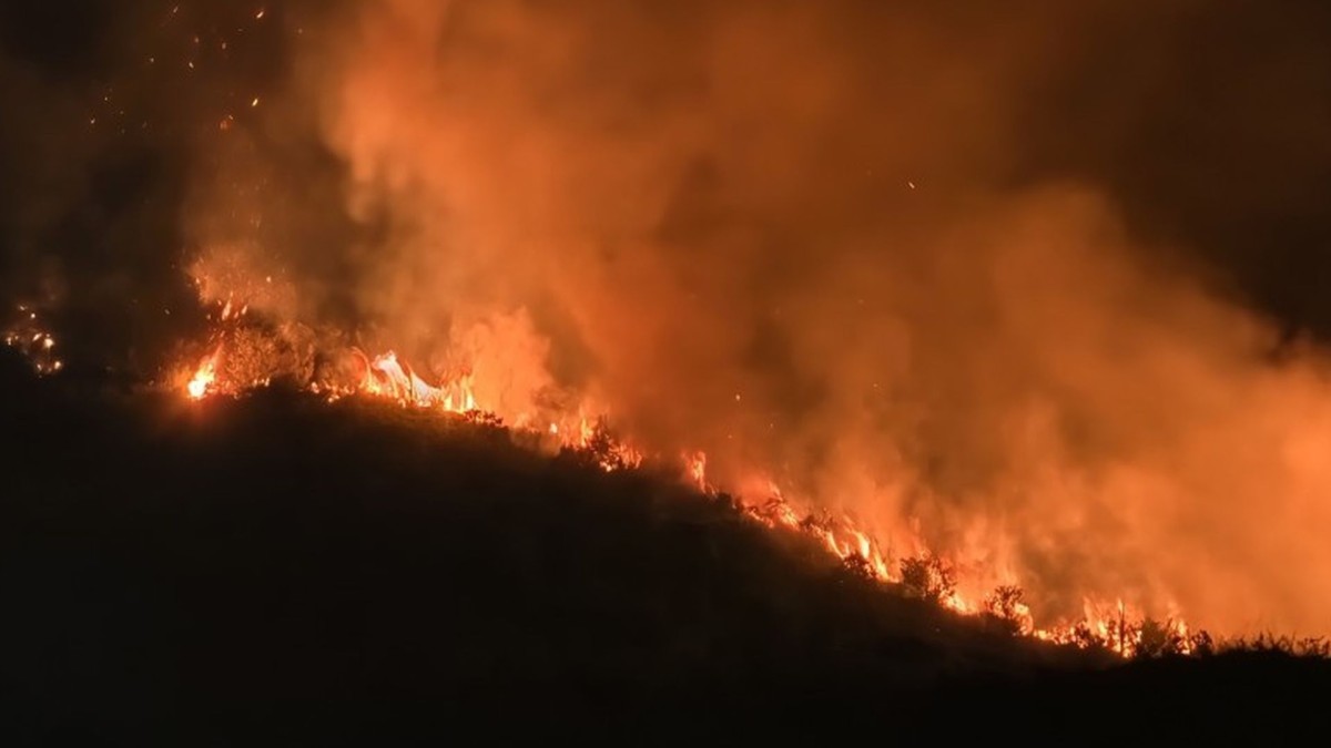 Mountain fire lights up night sky at Tai Po's Pat Sin Leng