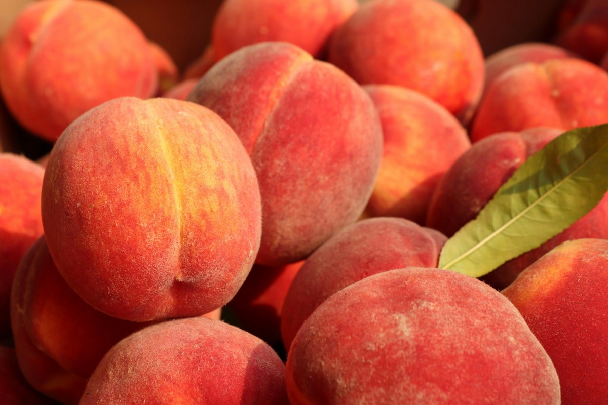 4 varieties of peach: What nutritional benefits does each have?