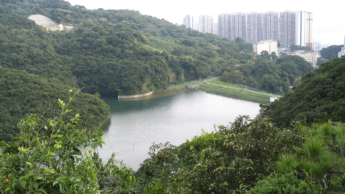 Missing Hong Kong investment boss found in Pok Fu Lam Reservoir after ...