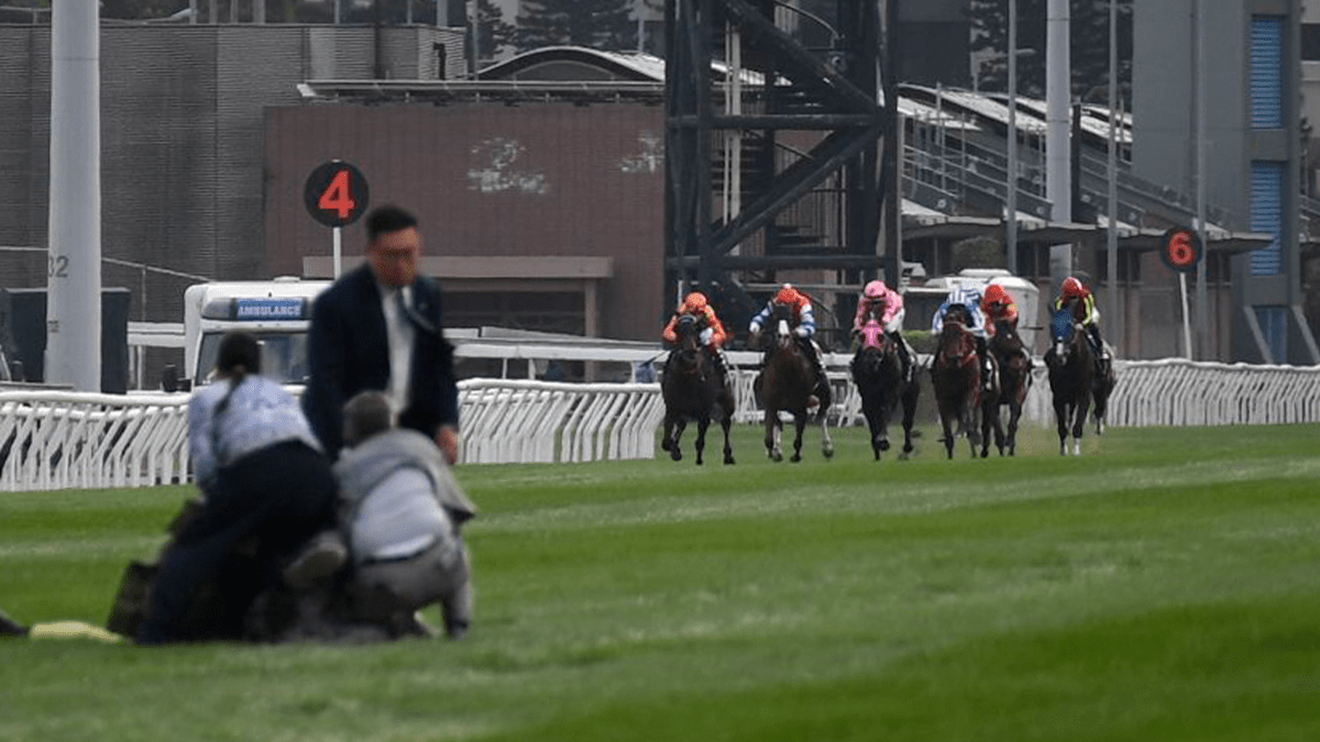 Man arrested after running onto Sha Tin race track during meeting