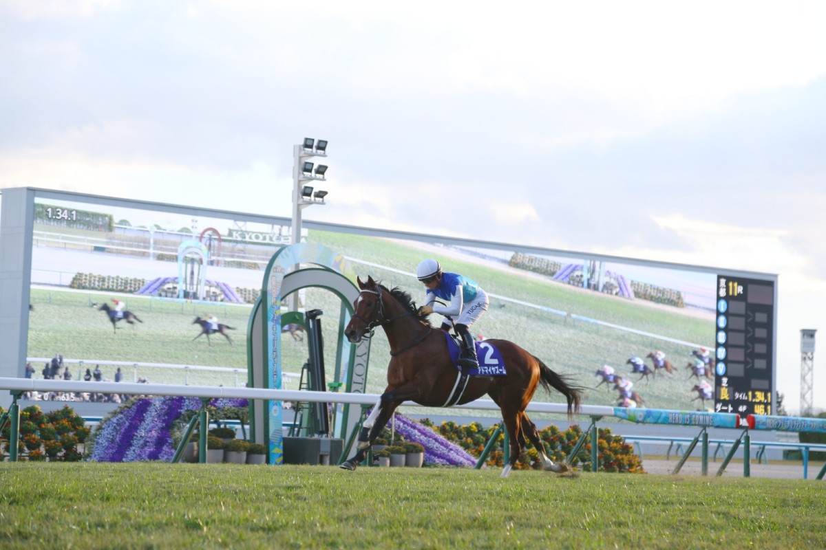 G1 Preview: Admire Zoom The One To Beat In NHK Mile Cup