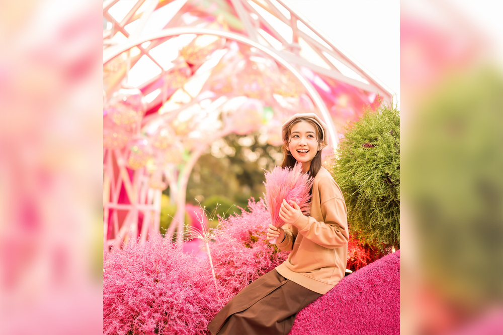 A spectacle at the North Point Promenade: Kochia Garden