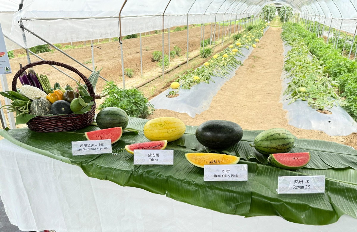 Luscious homegrown watermelon on offer with new "Reyan" series showcased