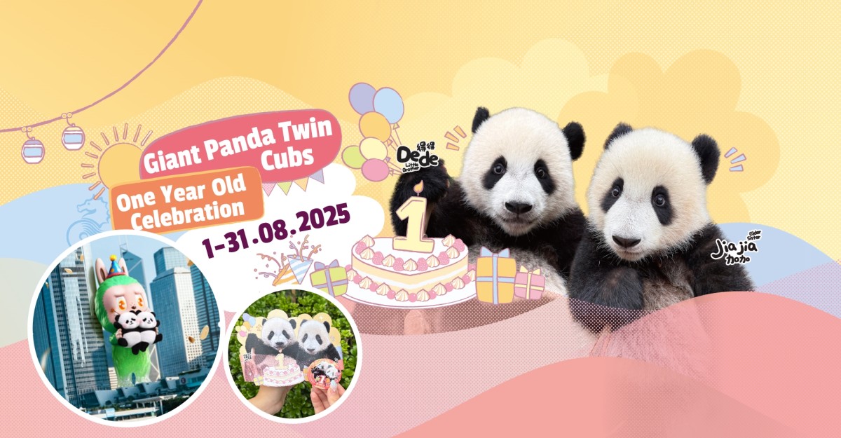 Ocean Park celebrates panda twins’ first birthday with special party ...