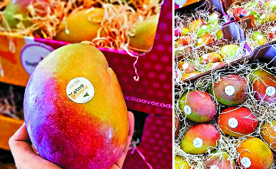 Heat is on in sicily and it's bearing cool fruit