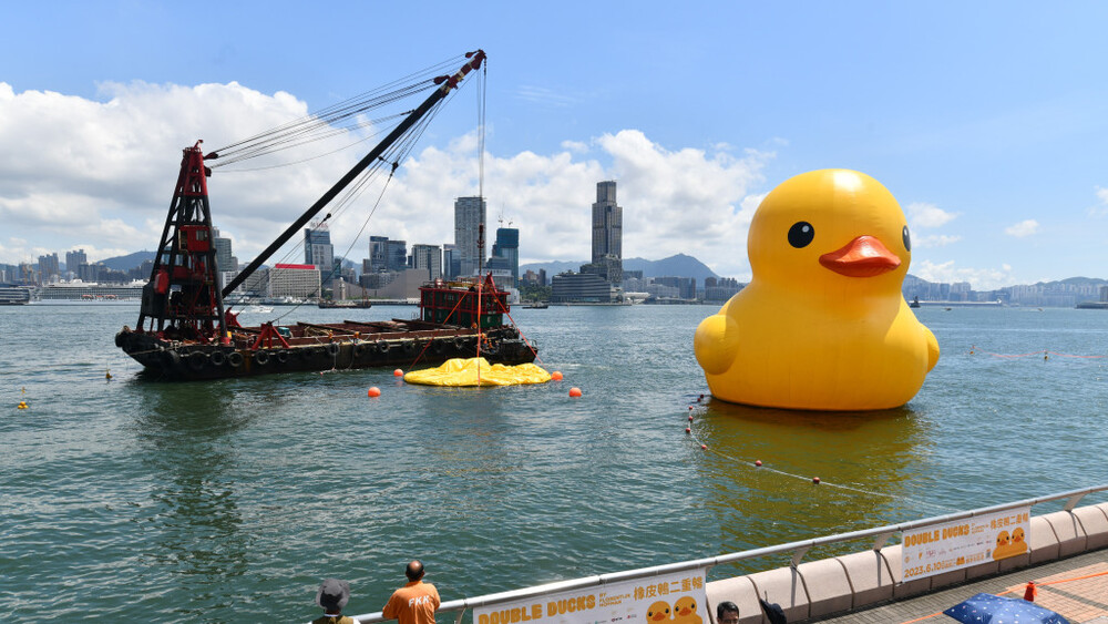 Once deflated rubber duck is back on display