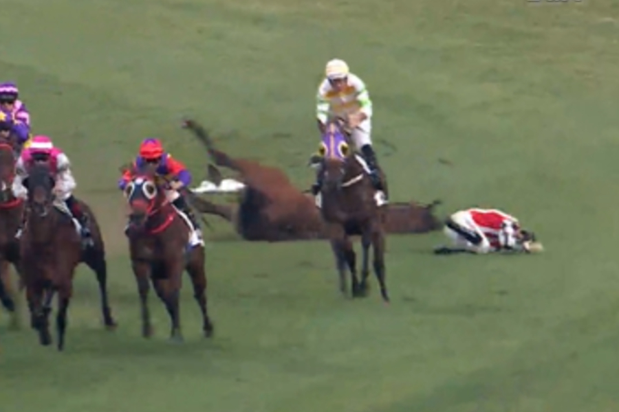 Jockey Lyle Hewitson suffers injuries after fall in Sha Tin race ...