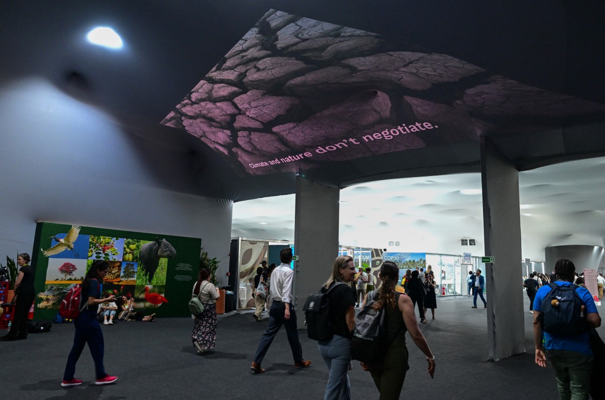 At COP30, senator warns US 'deliberately losing' clean tech race with China