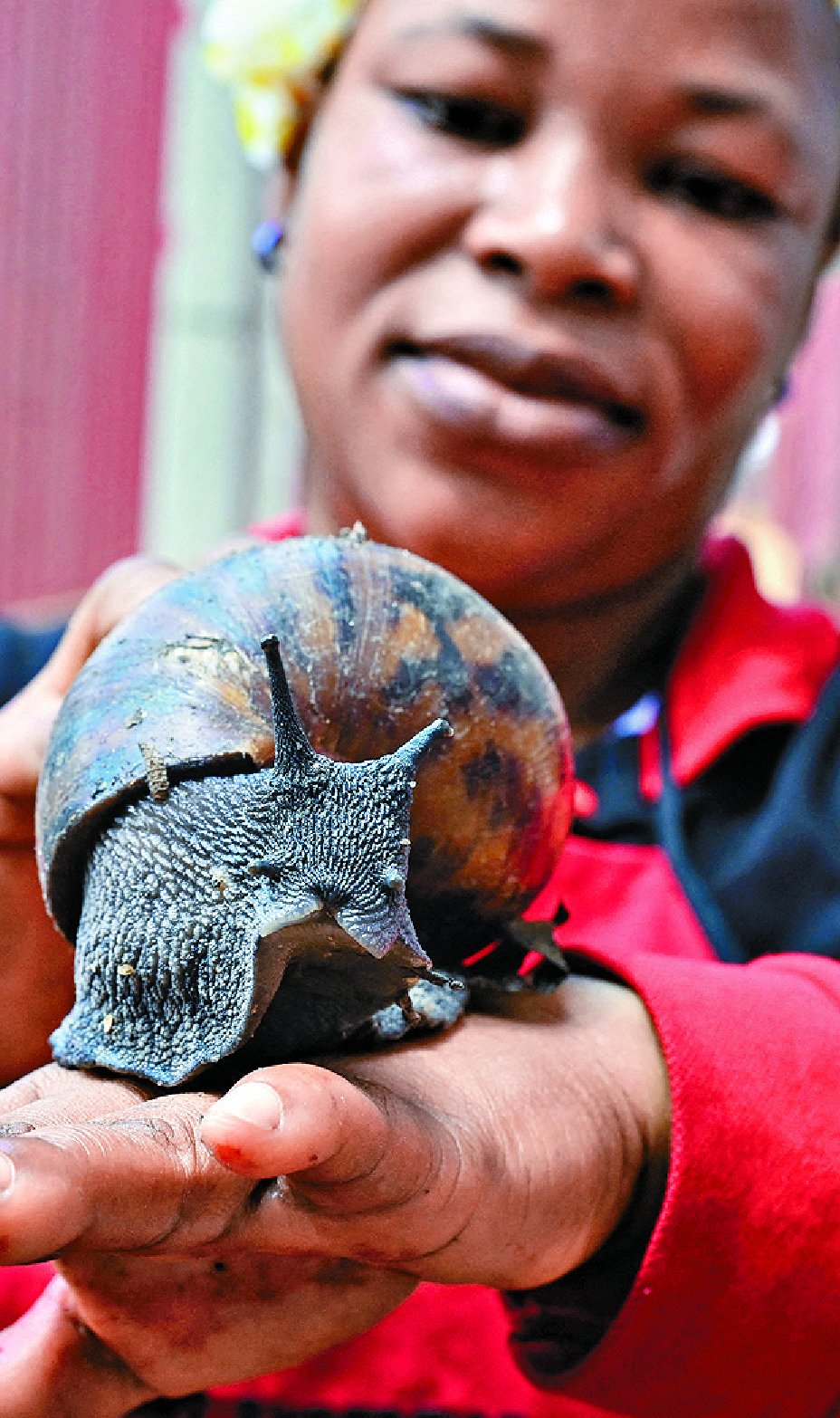 Snail's pace right up the alley for Ivorian farmers