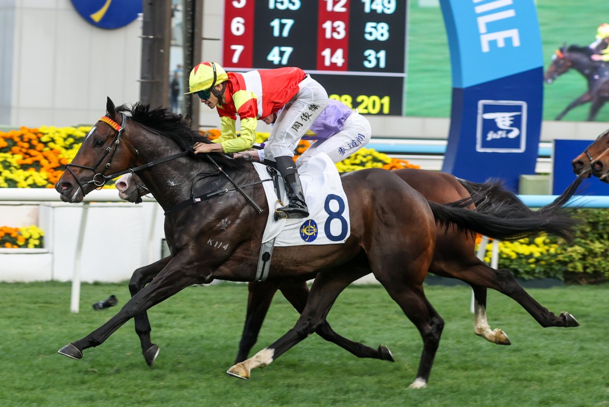 Lucky Sam Gor faces must-win Sha Tin test for Derby dream as Newnham ...