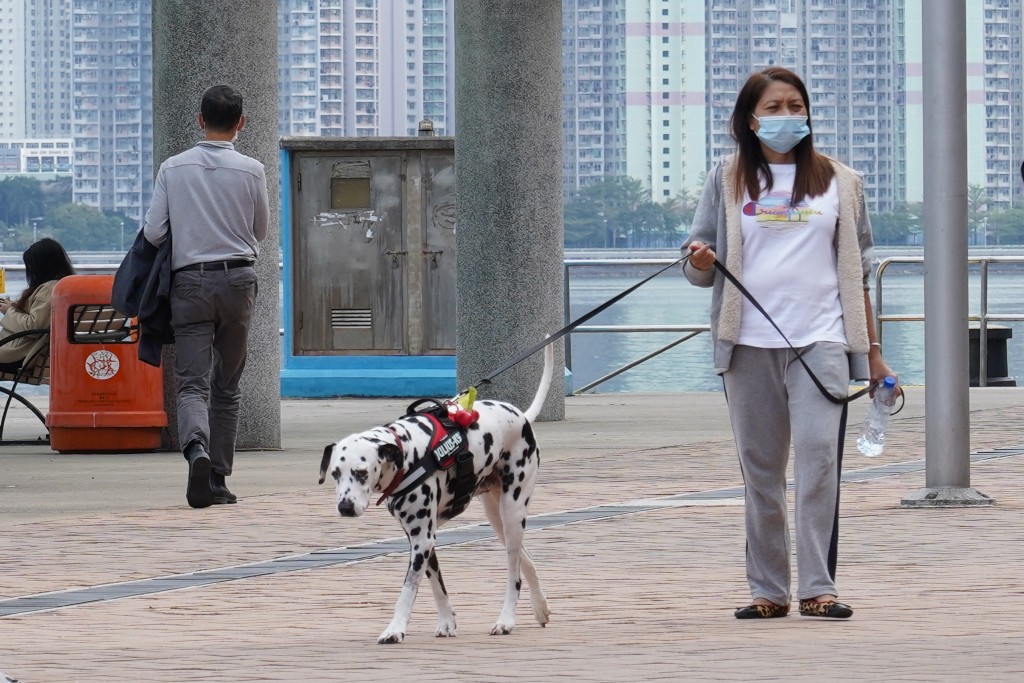 Lawmaker wants updated guidelines for dog waste cleanup