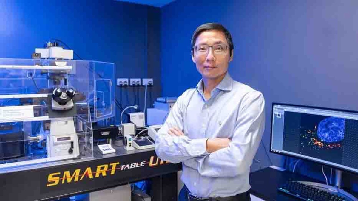 PolyU research breakthrough opens new pathway for Alzheimer's treatment