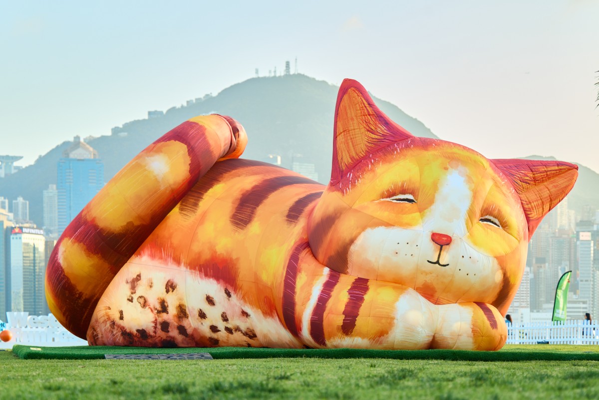 WestK FunFest opens with giant inflatable cat installation and 120 ...