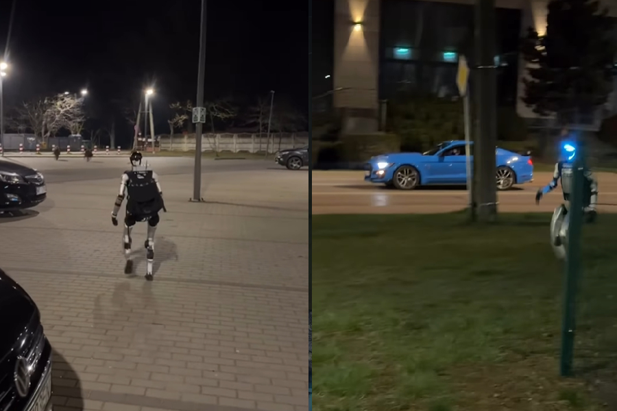 Humanoid robot Edward Warchocki becomes unexpected wild boar deterrent ...