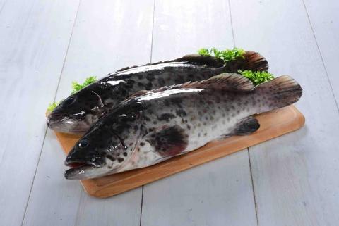 Taiwan threatens WTO action after China stops grouper fish imports