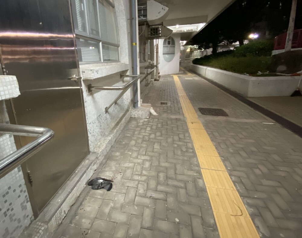 Suspicious pigeon death reported in Tseung Kwan O