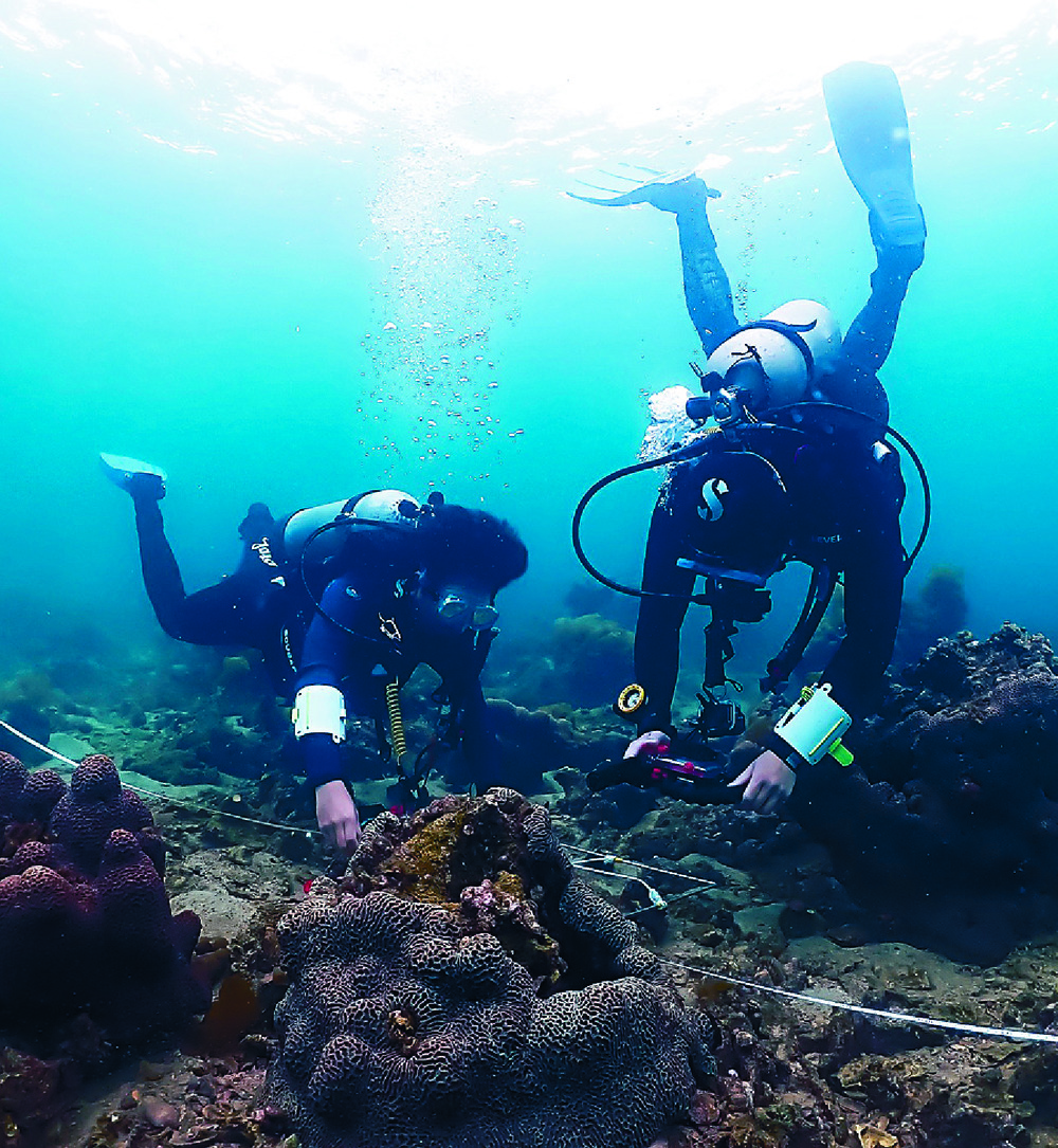 Corralling all resources