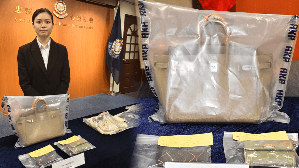 Woman recovers HK$150,000 handbag after alley attack, suspect arrested ...