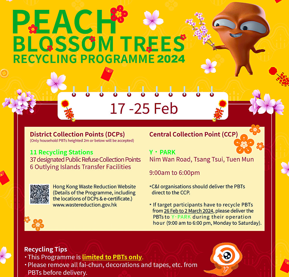 Green practice blooms over festive plants