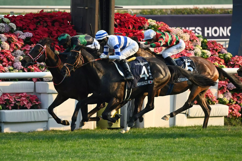 Horse racing gallops on through depths of pandemic