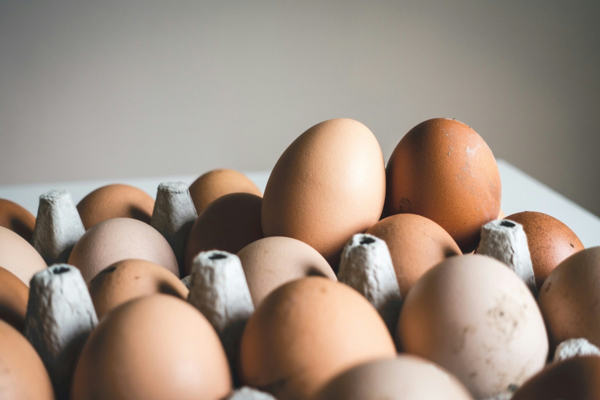 Nutritionist debunks egg washing and storage myths