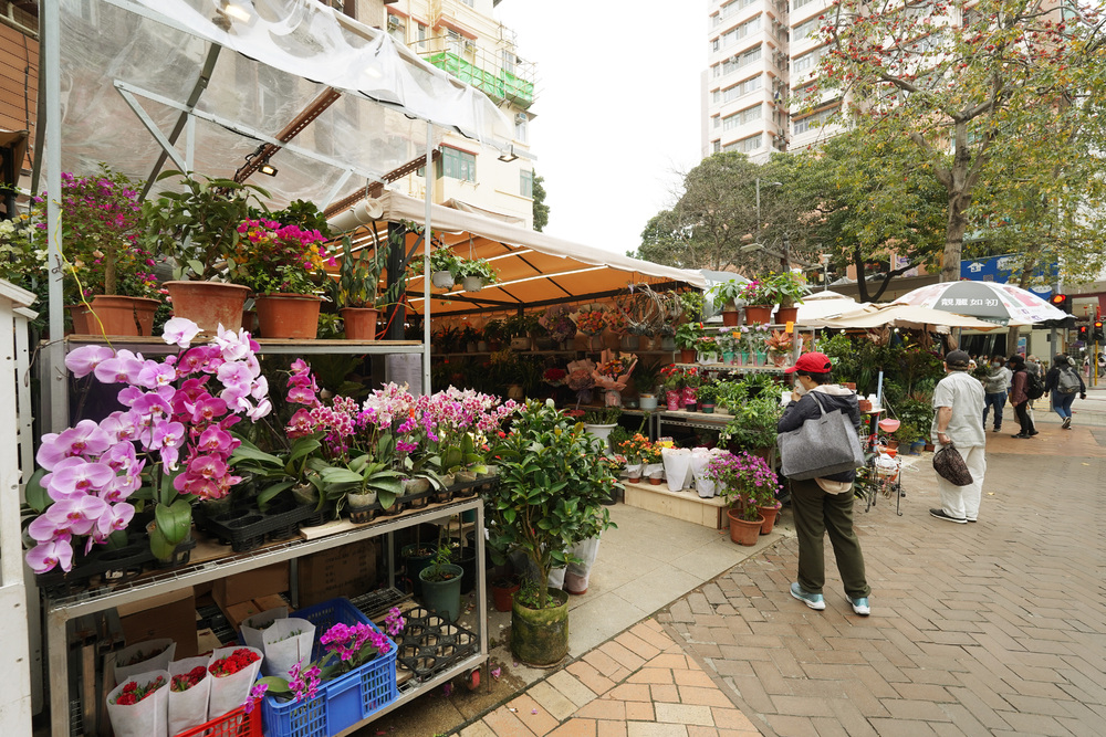 42-story building and park springing up in Flower Market
