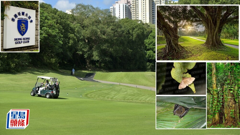 High Court orders re-consultation on EIA report over Fanling Golf ...