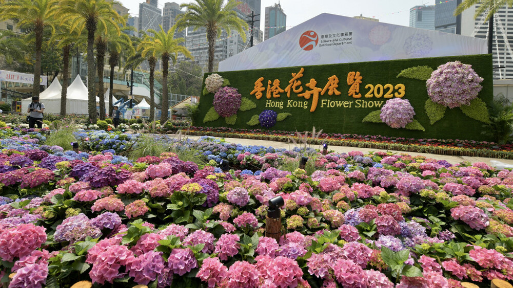 Hong Kong Flower Show returns to Victoria Park after Covid hiatus