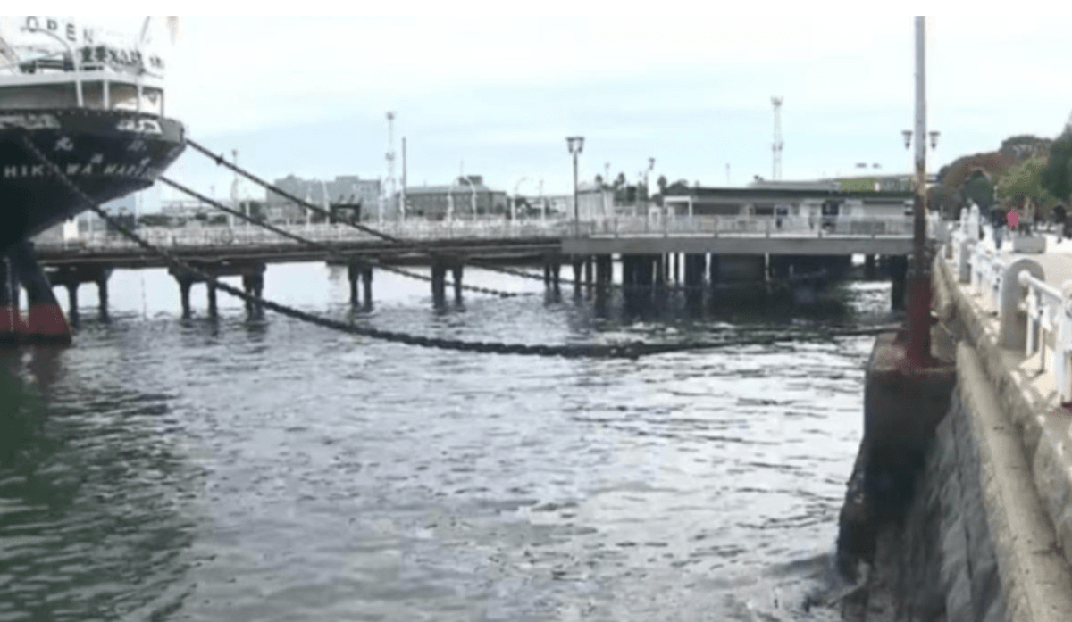 Headless female torso found floating at Yokohama's Yamashita Park