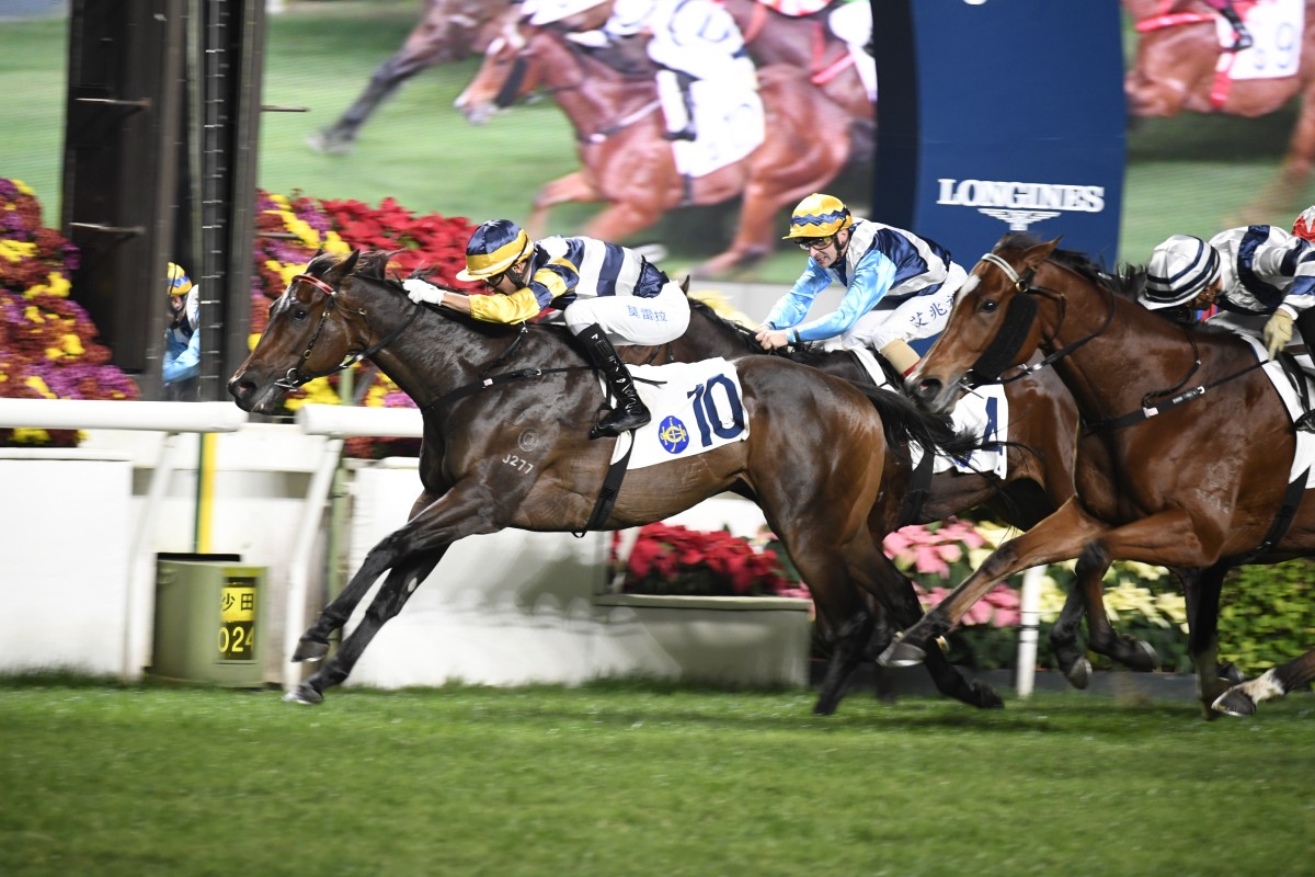 Hong Kong Four-year-old Classic Series hopefuls