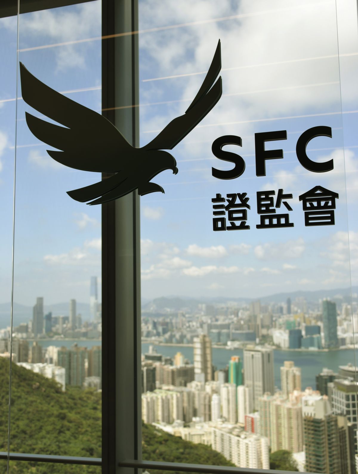 SFC joins global regulatory effort to curb activities of unauthorized ...