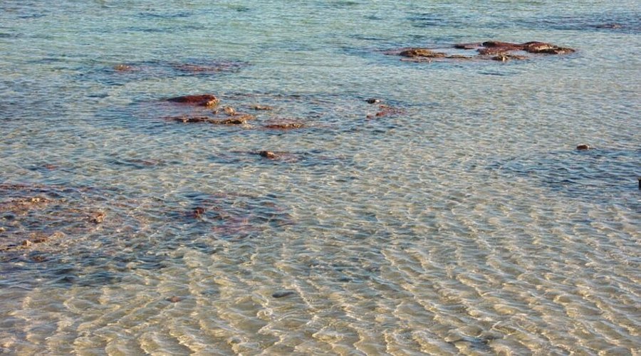 Microbial oxidation greatly reduces ocean methane emissions: study