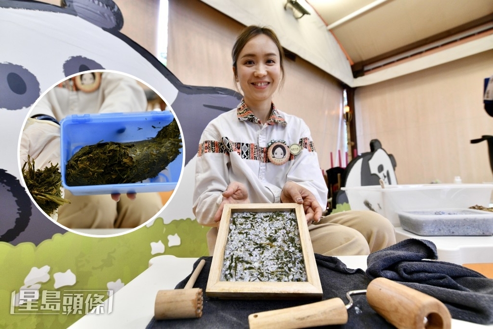 Make panda-poo paper in Ocean Park’s Animal Discovery Fest!