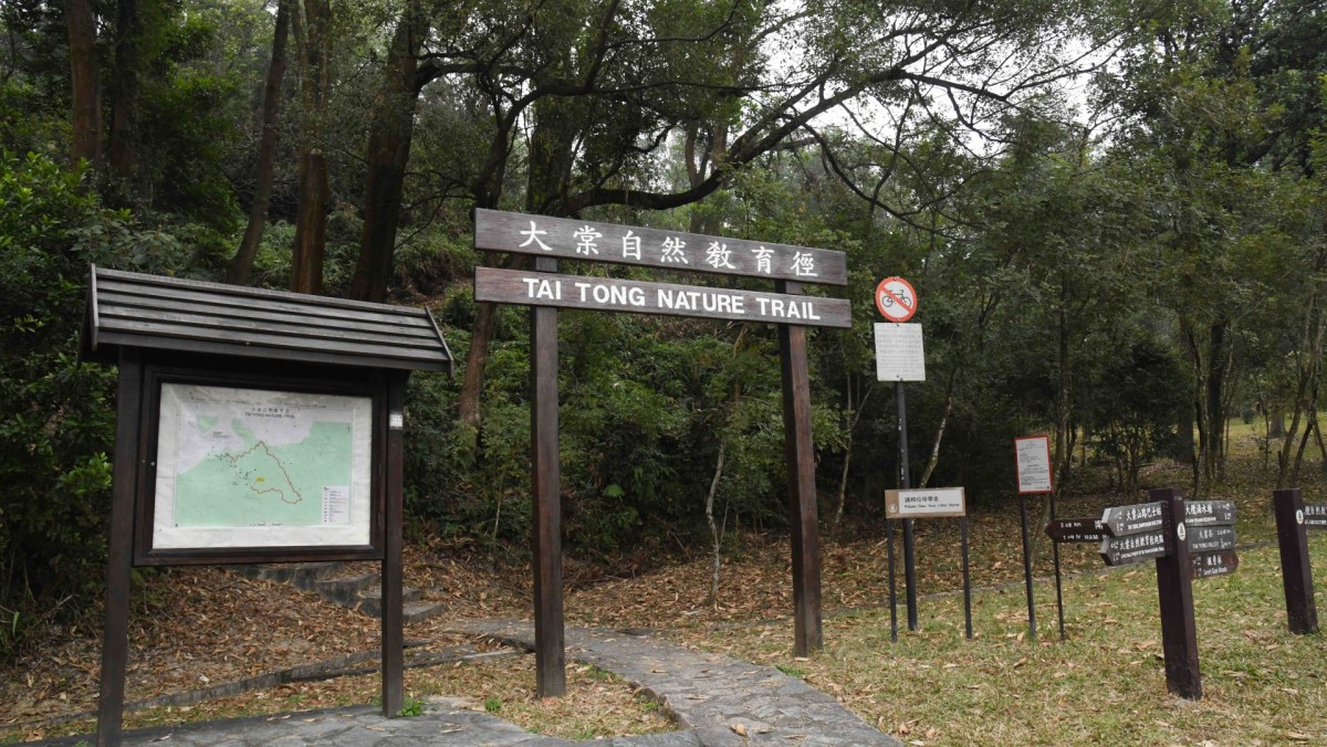 Search operation underway after 28-year-old man disappears on Tai Tong hike